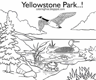Printable Yellowstone Park Coloring American Wildlife Kids Drawings ...