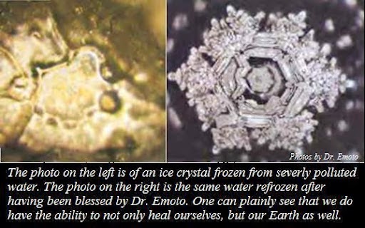 Vivre La Joie: Emoto's Ice Crystals