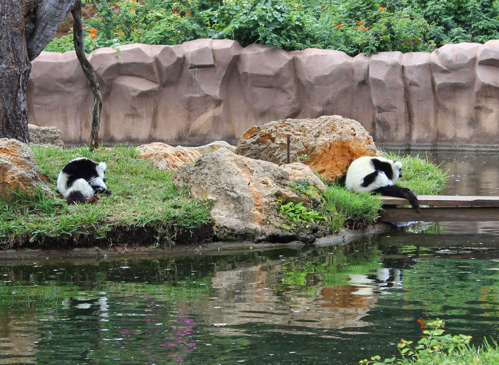 Jen's Updates: Honolulu Zoo