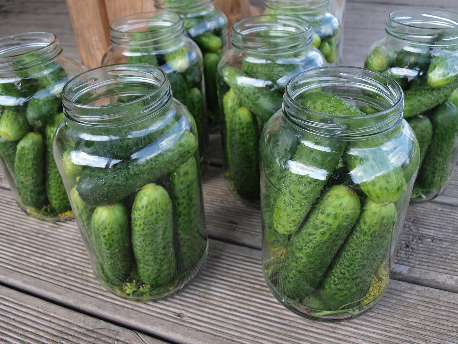 baltoje lėkštėje: Marinuoti agurkai