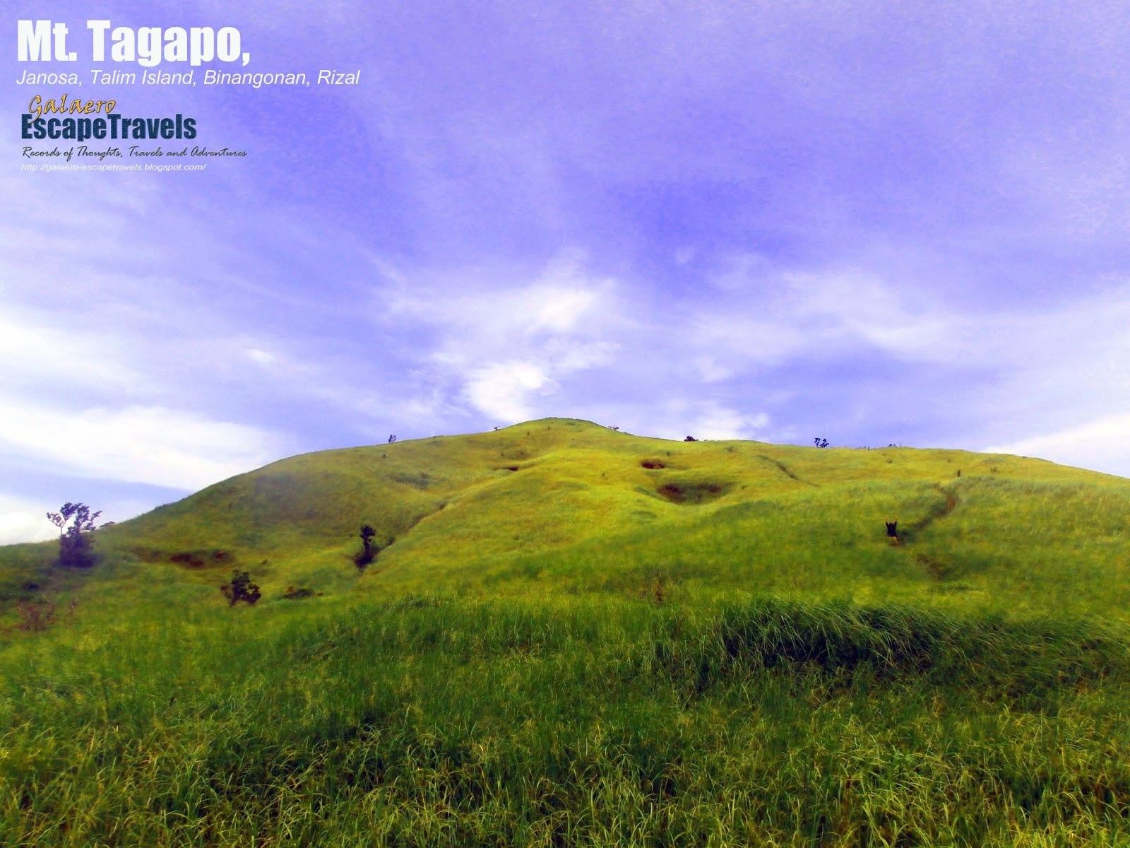 GalaeroEscapeTravels: Mt. Tagapo Day Hike: Gauging the Peak of Bamboo ...