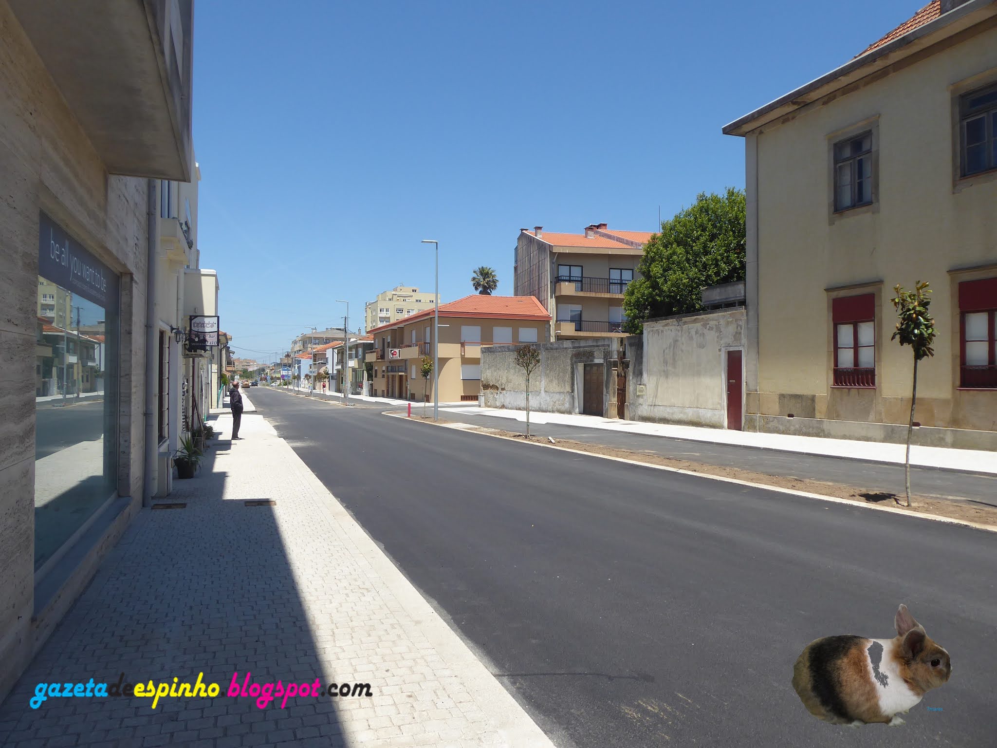 Gazeta de Espinho: Nova Rua 20 abriu ao transito até Rua 62