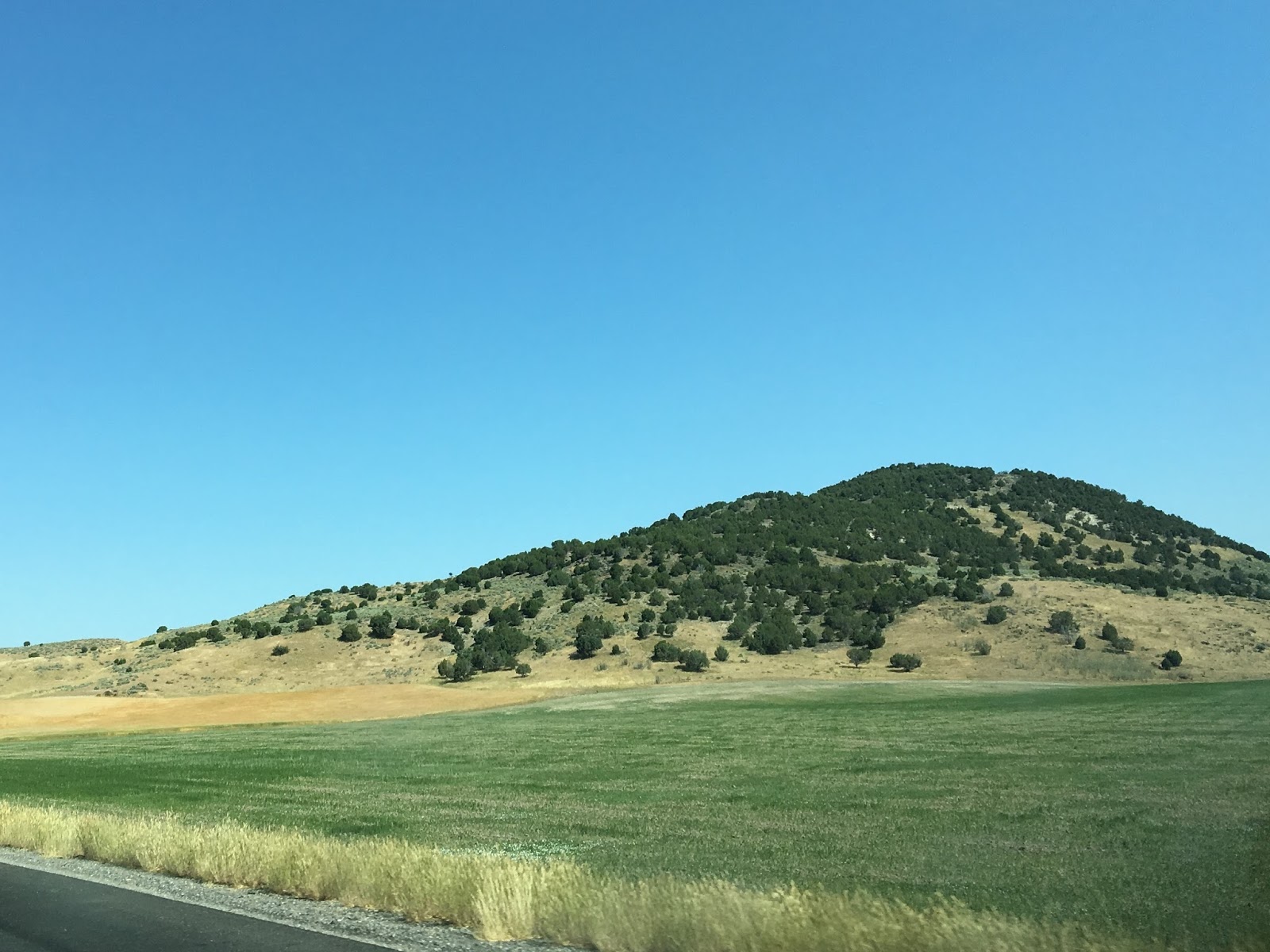 Rowan's Story: "God's Masterpiece"