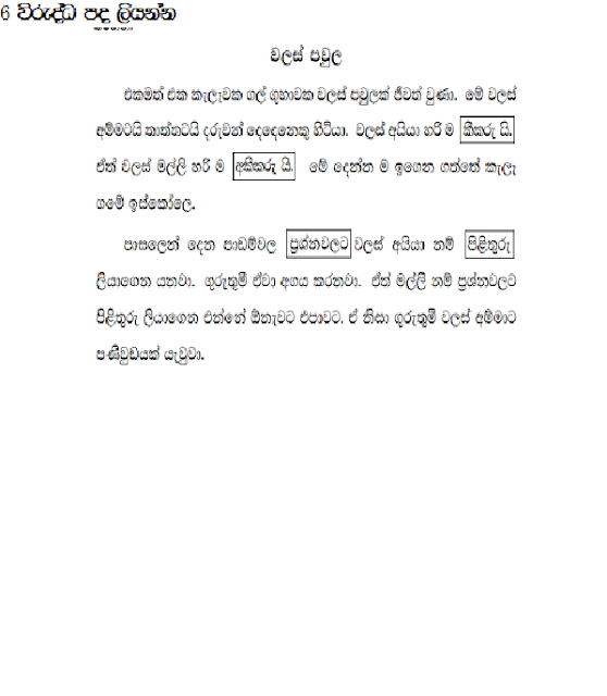 Grade 3 Sinhala Sinhala Activity 6 grade-3-sinhala-sinhala-activity-6