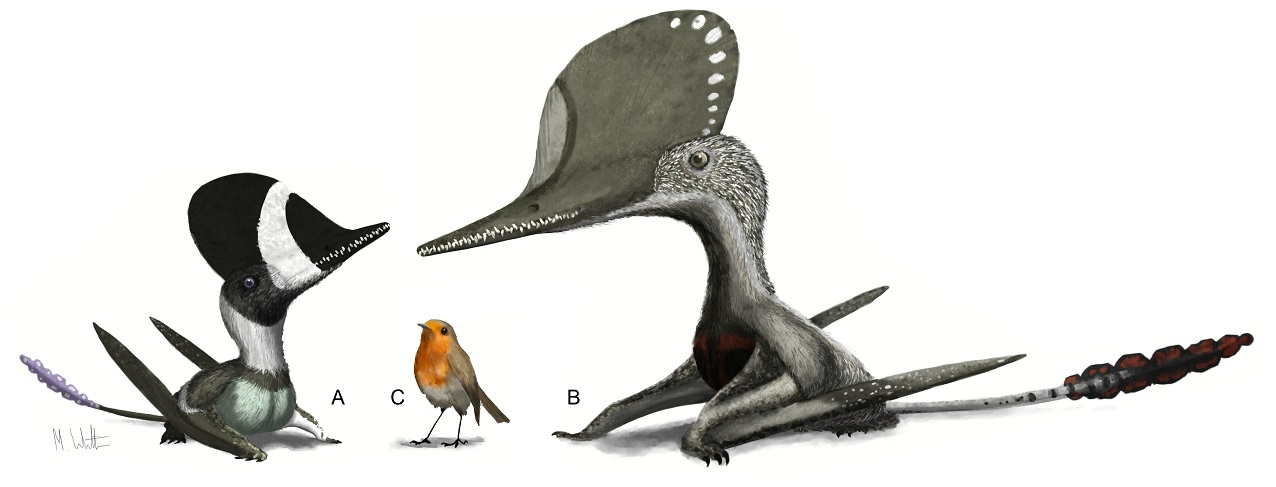 Mark P. Witton's Blog: And I, for one, welcome our new wukongopterid ...