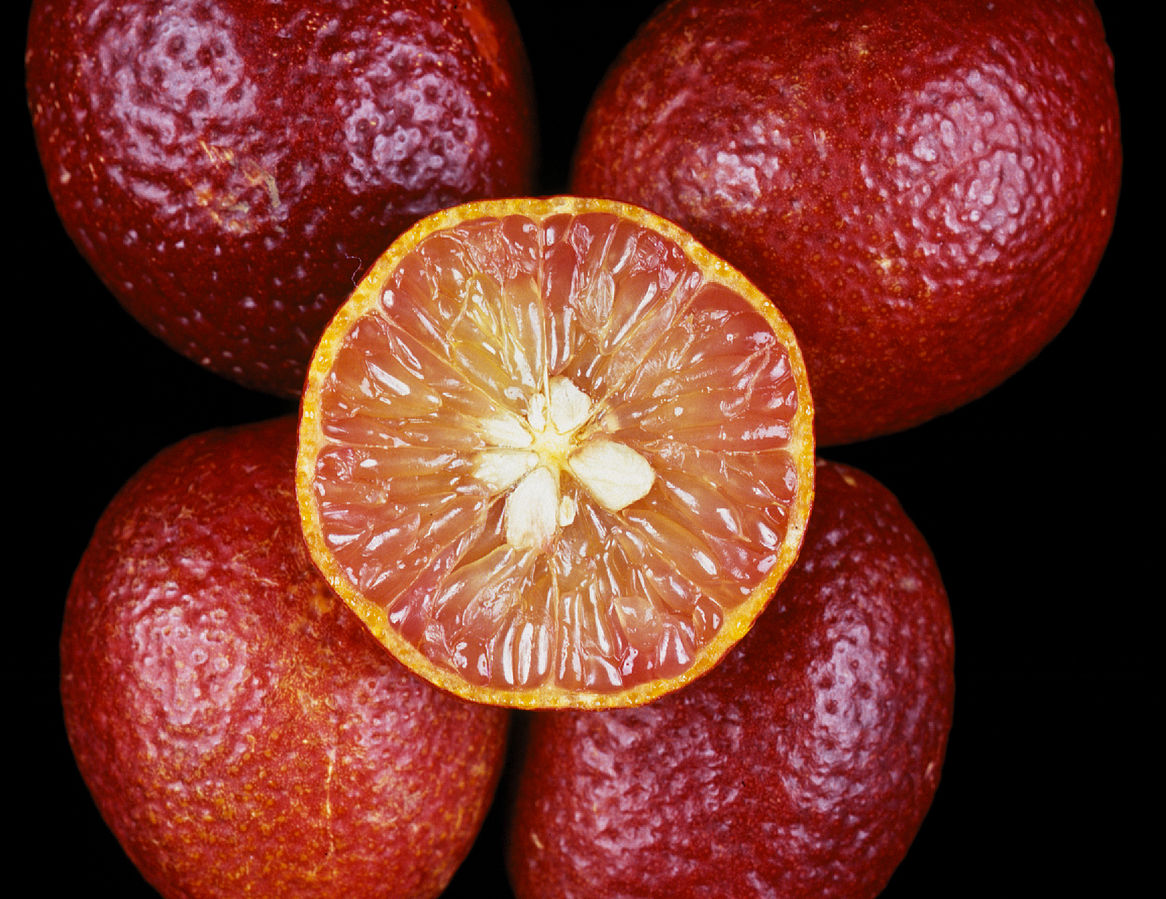10 of the World's Most Unusual Citrus