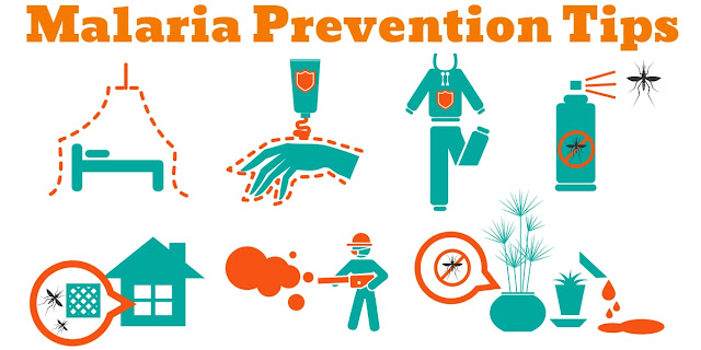 Top 5 Tips to Prevent Malaria