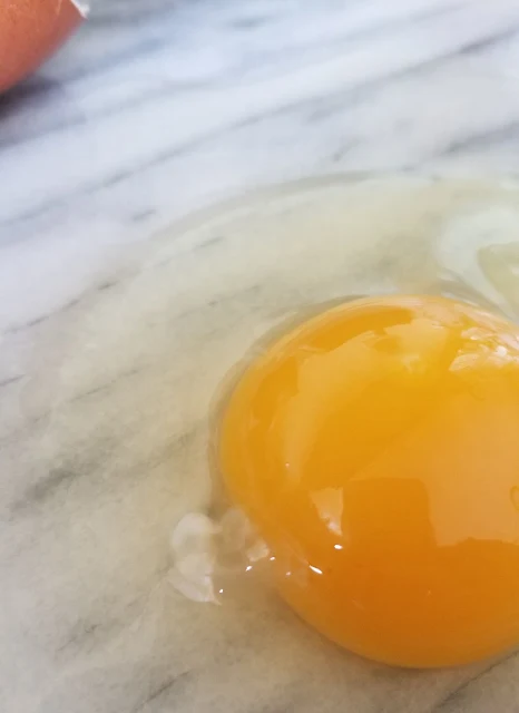 Anatomy of a Fresh Egg - Fresh Eggs Daily® with Lisa Steele