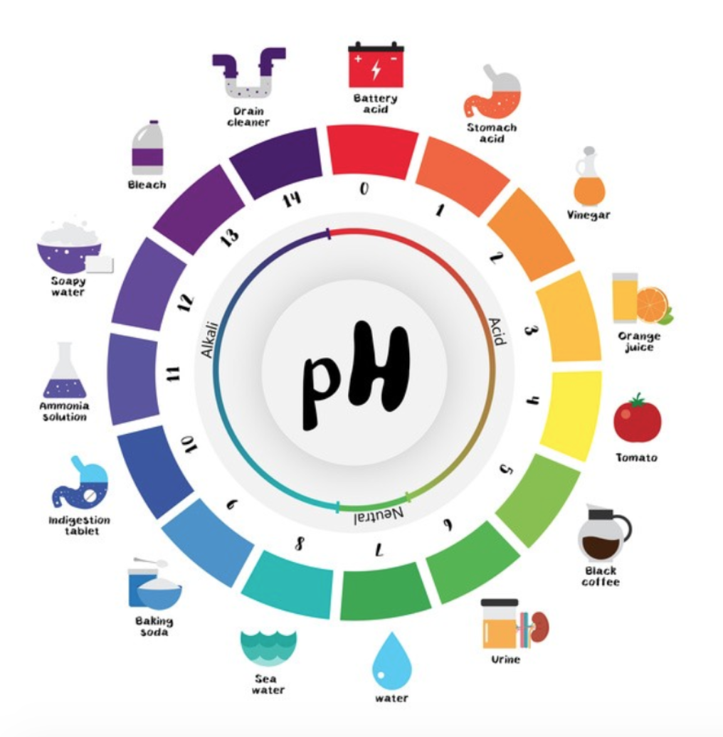 Nutritional Therapy Rocks!: To alkalize or not to alkalize?