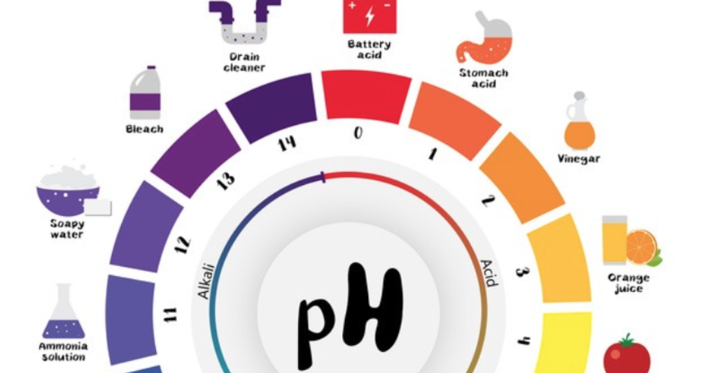 Nutritional Therapy Rocks!: To alkalize or not to alkalize?