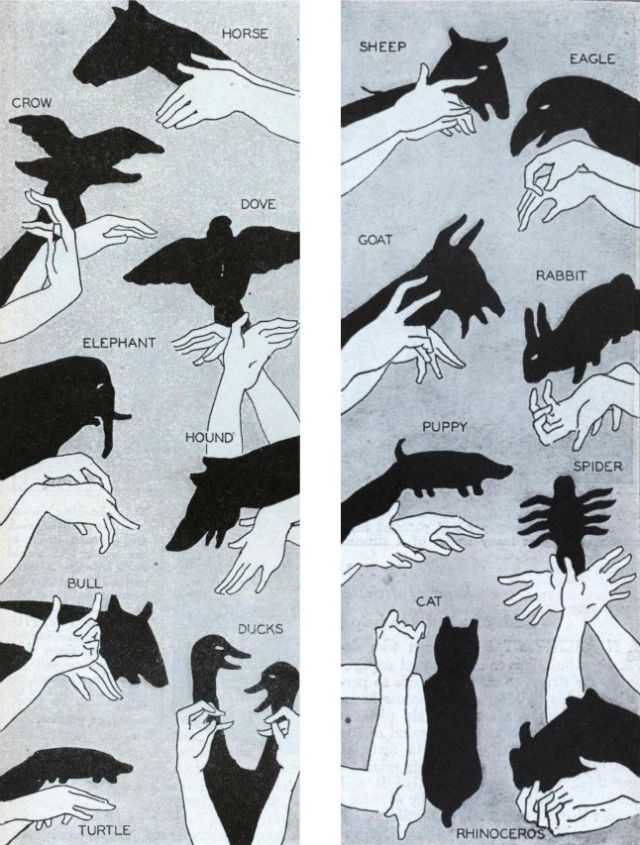 How To Make Shadow Puppets Ca 1930 Vintage Everyday how-to-make-shadow-puppets-ca-1930-vintage-everyday