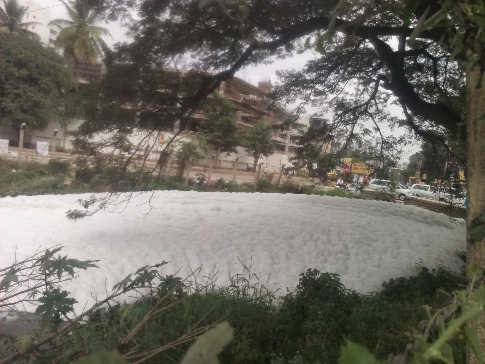 Bangalore's second largest lake and major Sewage Inlet: Varthur Lake ...