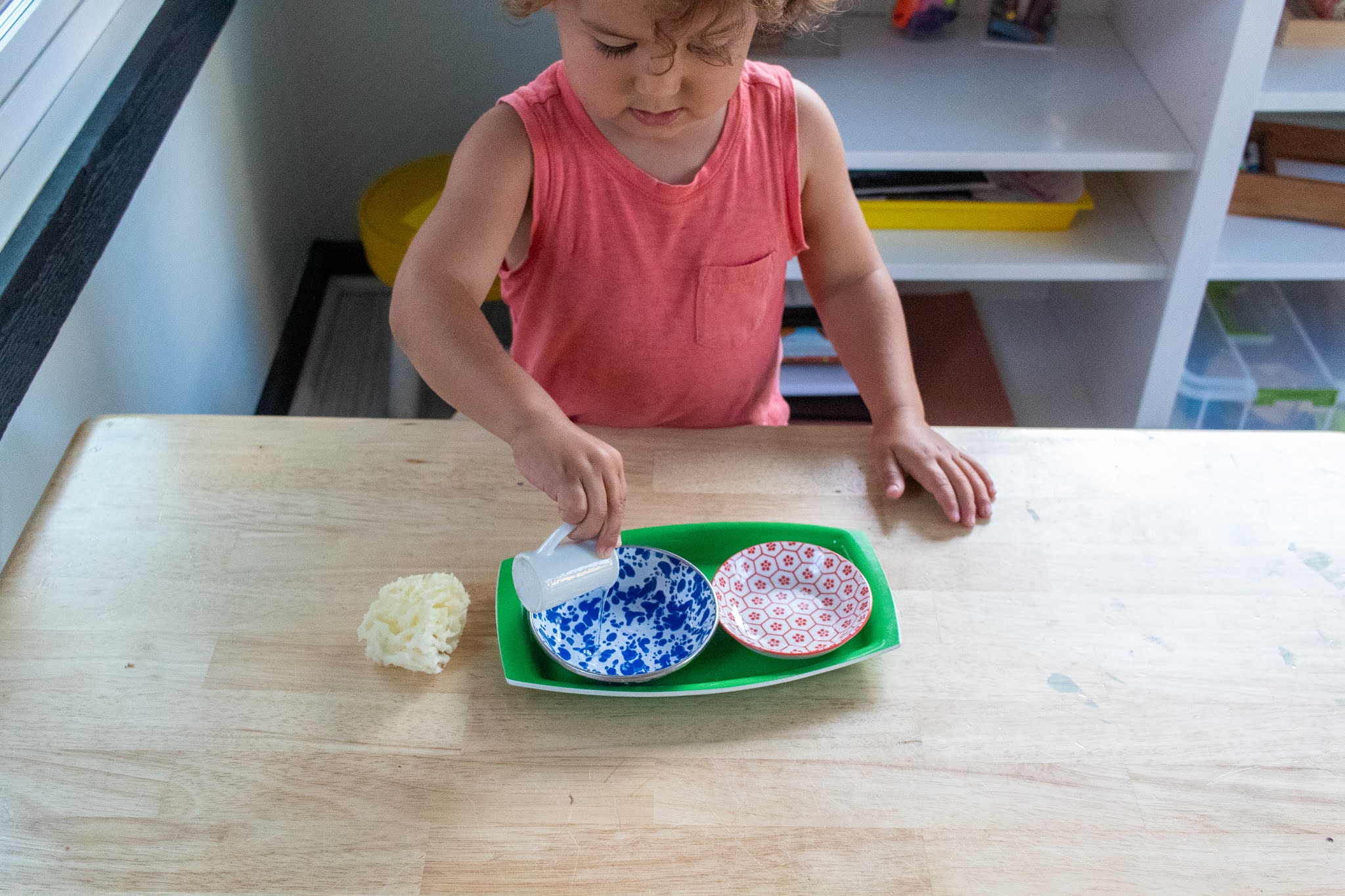 Easy Montessori Tray - Transferring with a Sponge