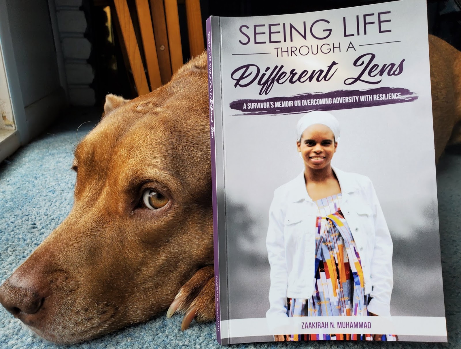 DeelaSees: BOOKS! (Seeing Life Through a Different Lens)