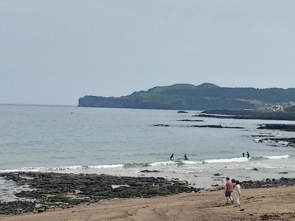 [ JEJU TAXI TOUR KJ ]: (West) Mt Songak 松岳山 송악산