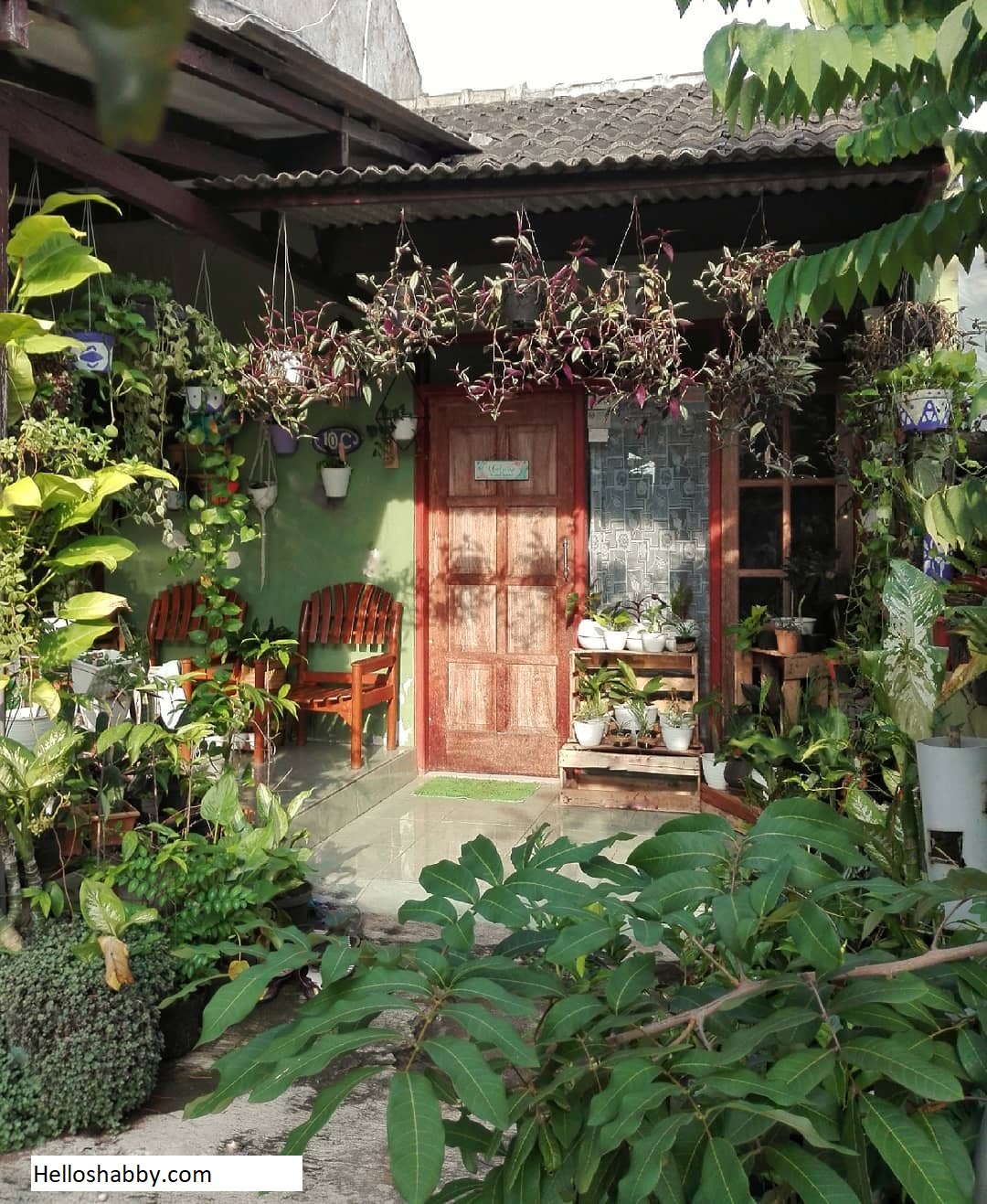 6 Langkah Cara Menata Bunga Di Teras Rumah, Agar Terlihat Cantik ...