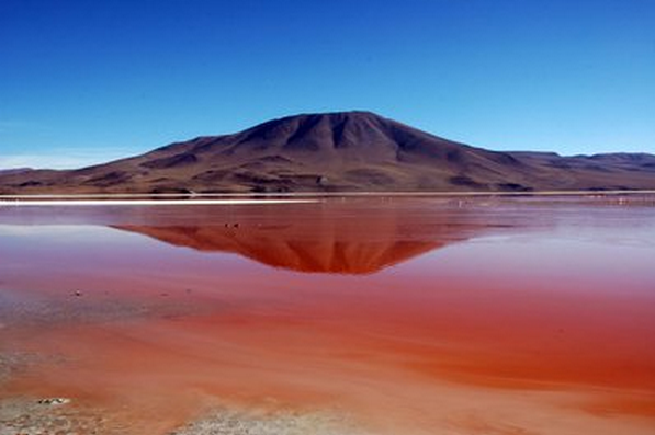 Pró Beleza Natural: Turismo: Conheça os Lagos Cor-de-Rosa