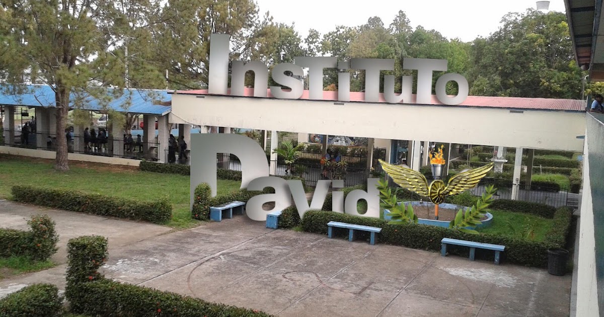 Instituto David