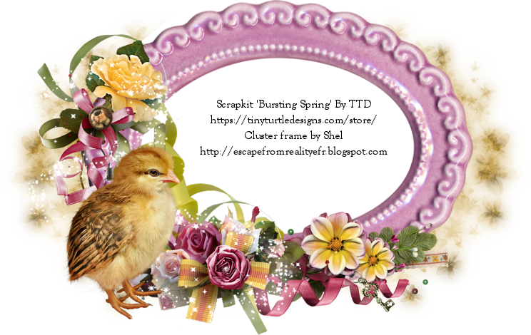 Escape From Reality Blog: FTU 'Bursting Spring' Cluster Frames TTD