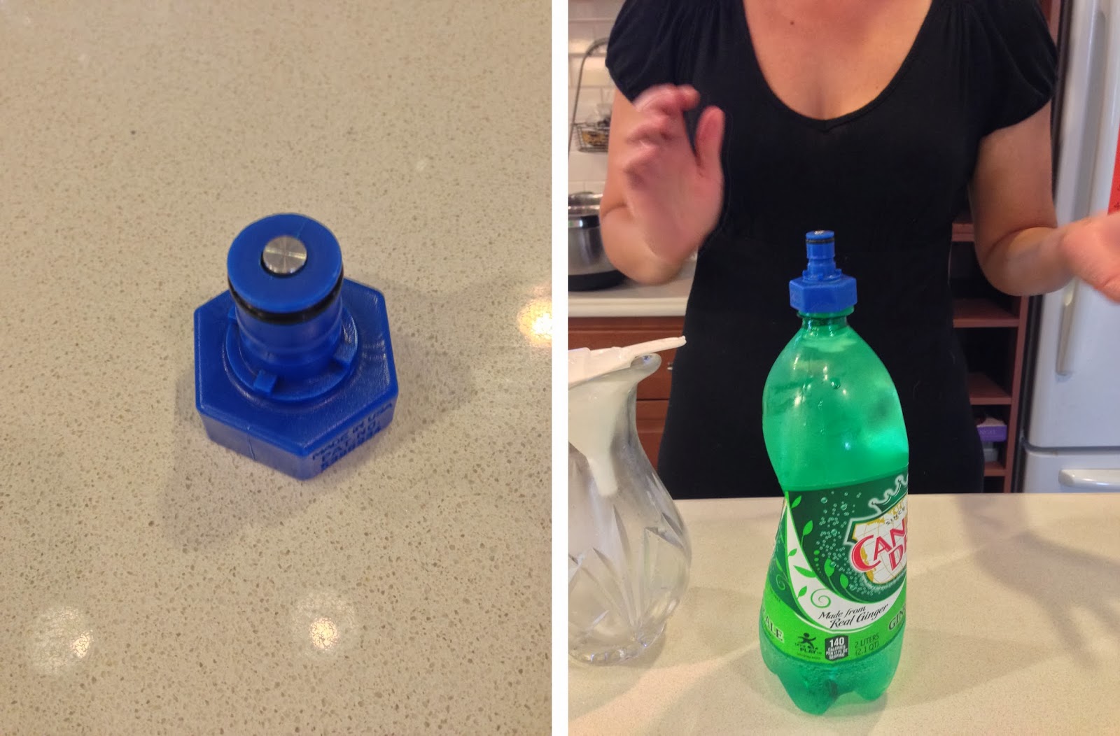 Grosgrain: DIY Carbonator!!