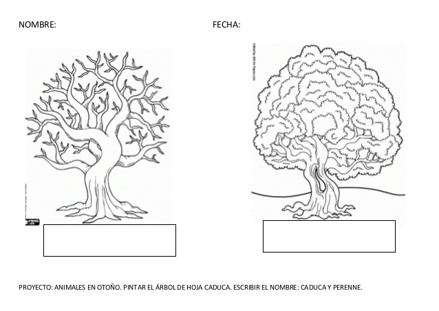 1º Educación primaria : CIENCIAS NATURALES