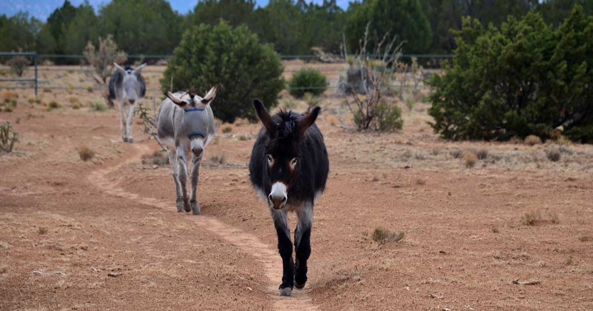 The 7MSN Ranch: Alan gets the last word