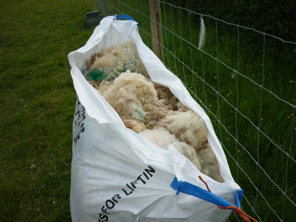 An English Homestead: Sheep Shearing