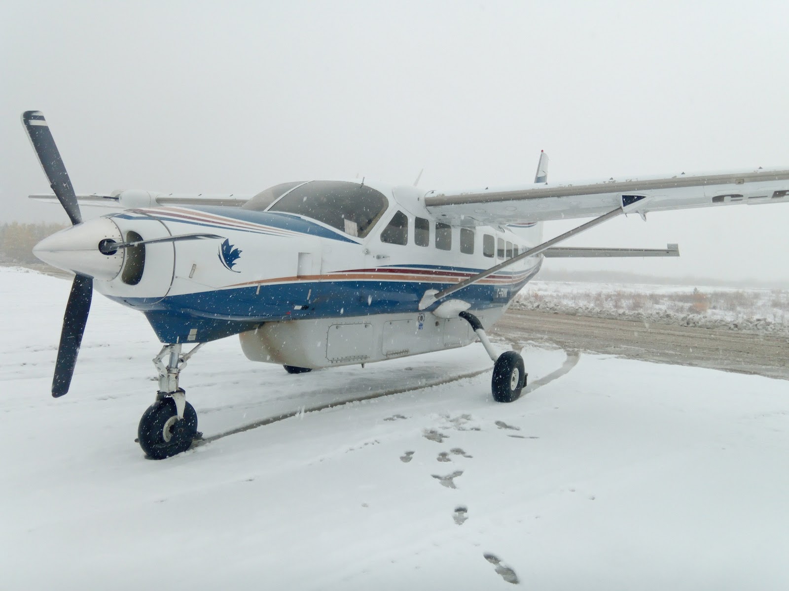 Delta Victor: Onwards and Forwards