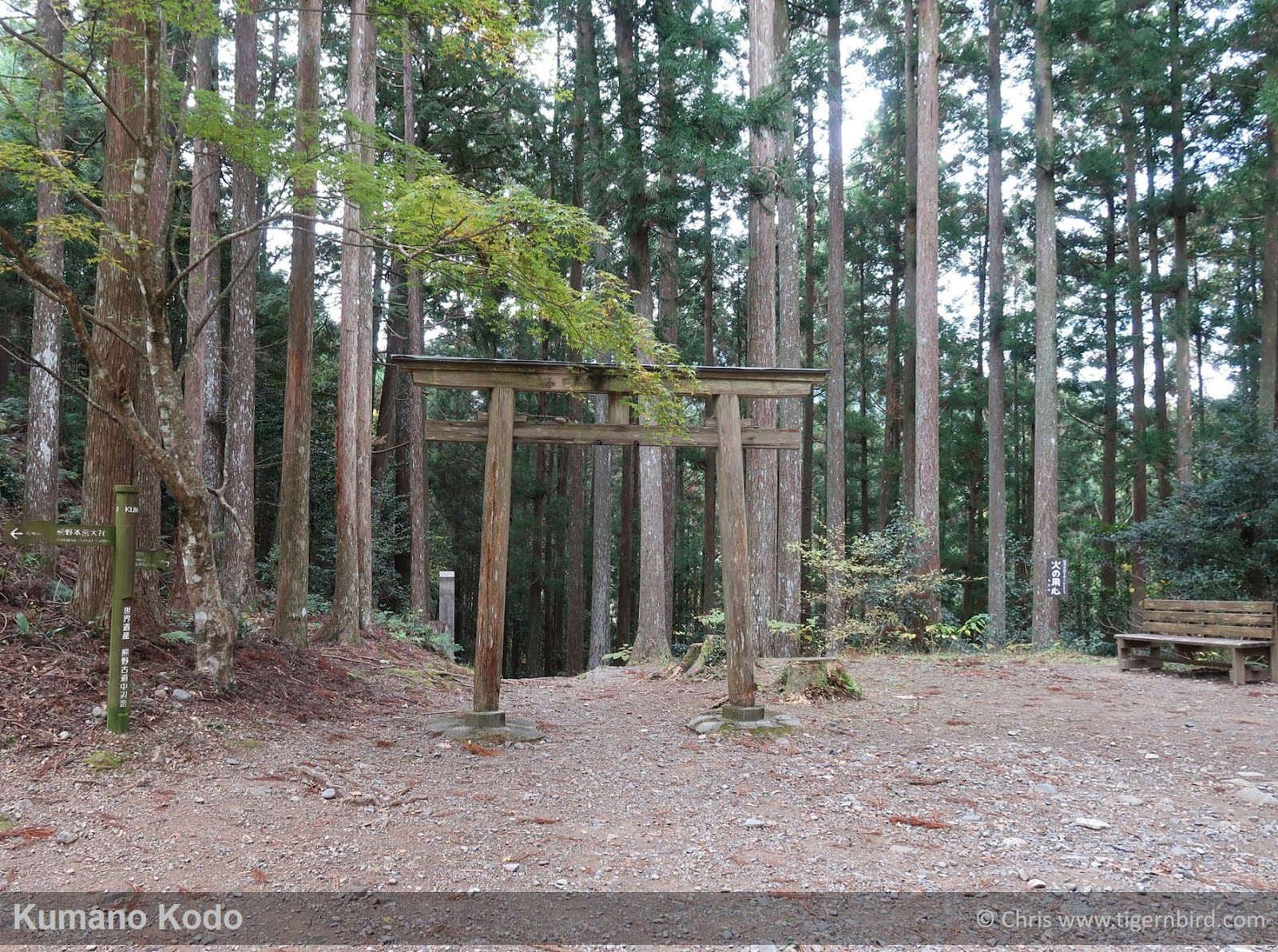 Life in Kingdom of Thailand: Hiking the Ancient Trails of the Kumano ...