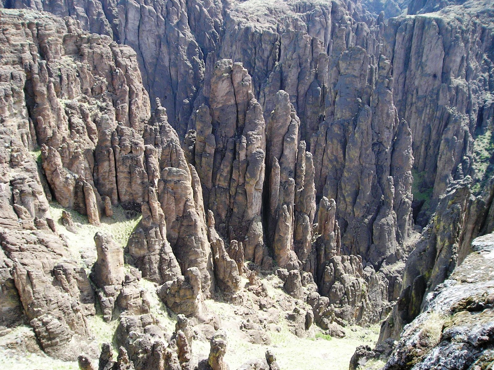 Birding Is Fun!: Three Forks of the Owyhee River