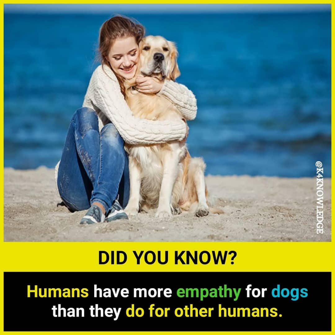 New Amazing Facts Collection Download With Images