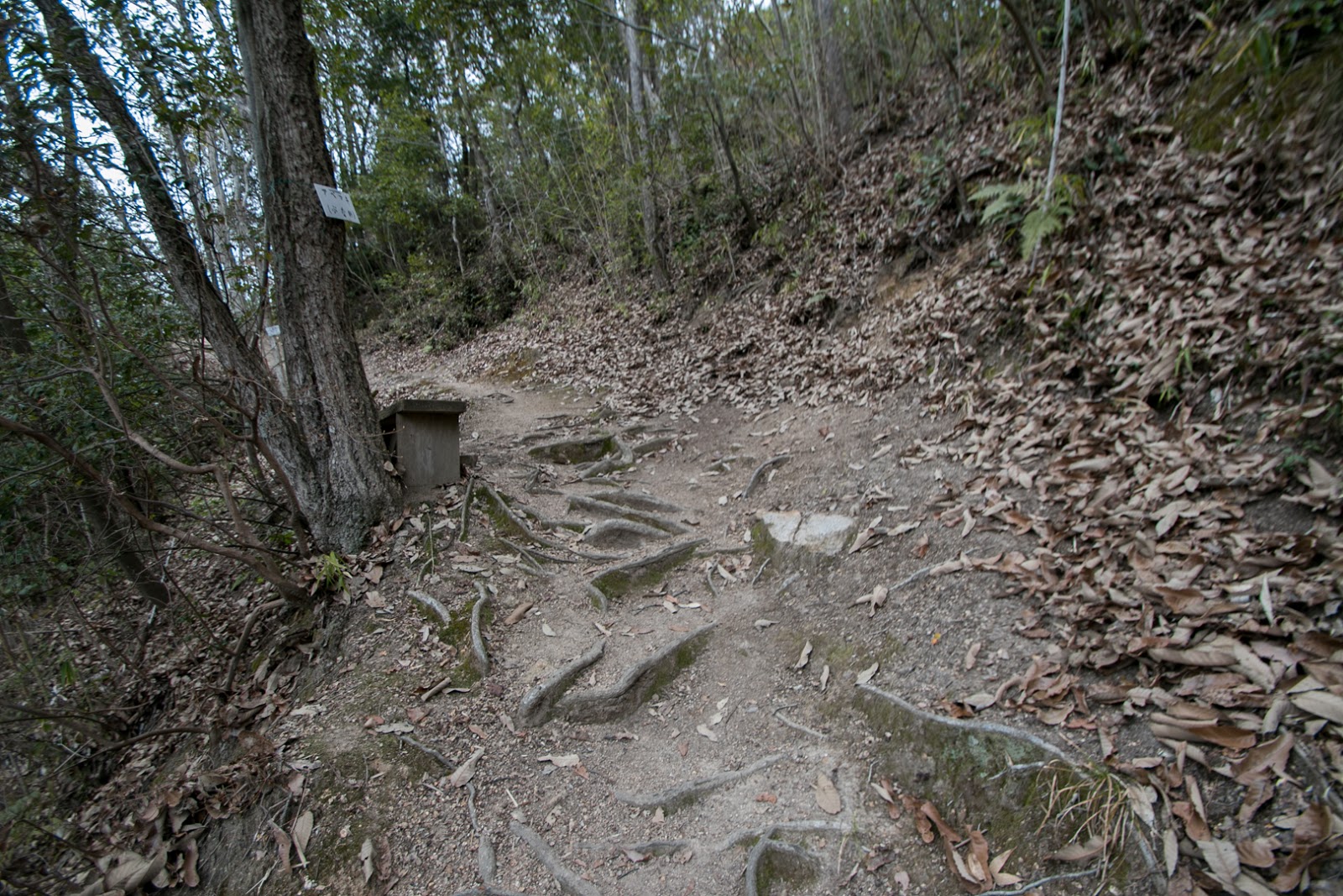 Niitakayama Castle -Intellectual pillar of Mouri clan (2)- | Japan ...