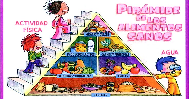 Educarse en el deporte para tener una vida sana: LA PIRAMIDE ALIMENTICIA