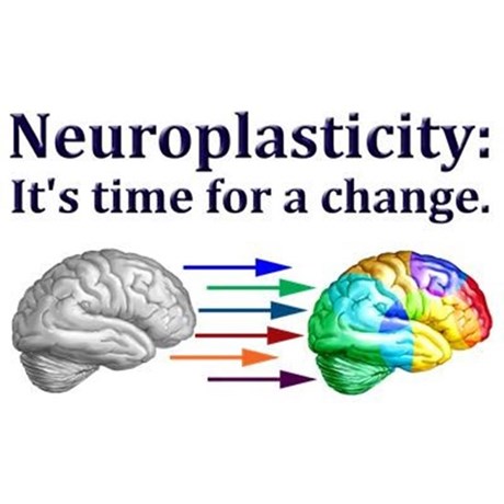POWER OF NEUROPLASTICITY IN BEHAVIORAL CHANGE