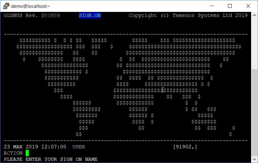 Temenos T24: Best Emulator for T24 Classic
