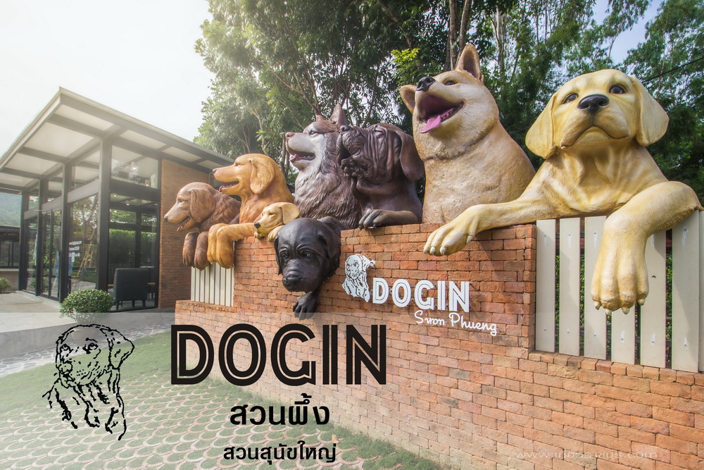 แหล่งท่องเที่ยว อ. สวนผึ้ง 5/3: Dogin สวนสุนัขใหญ่