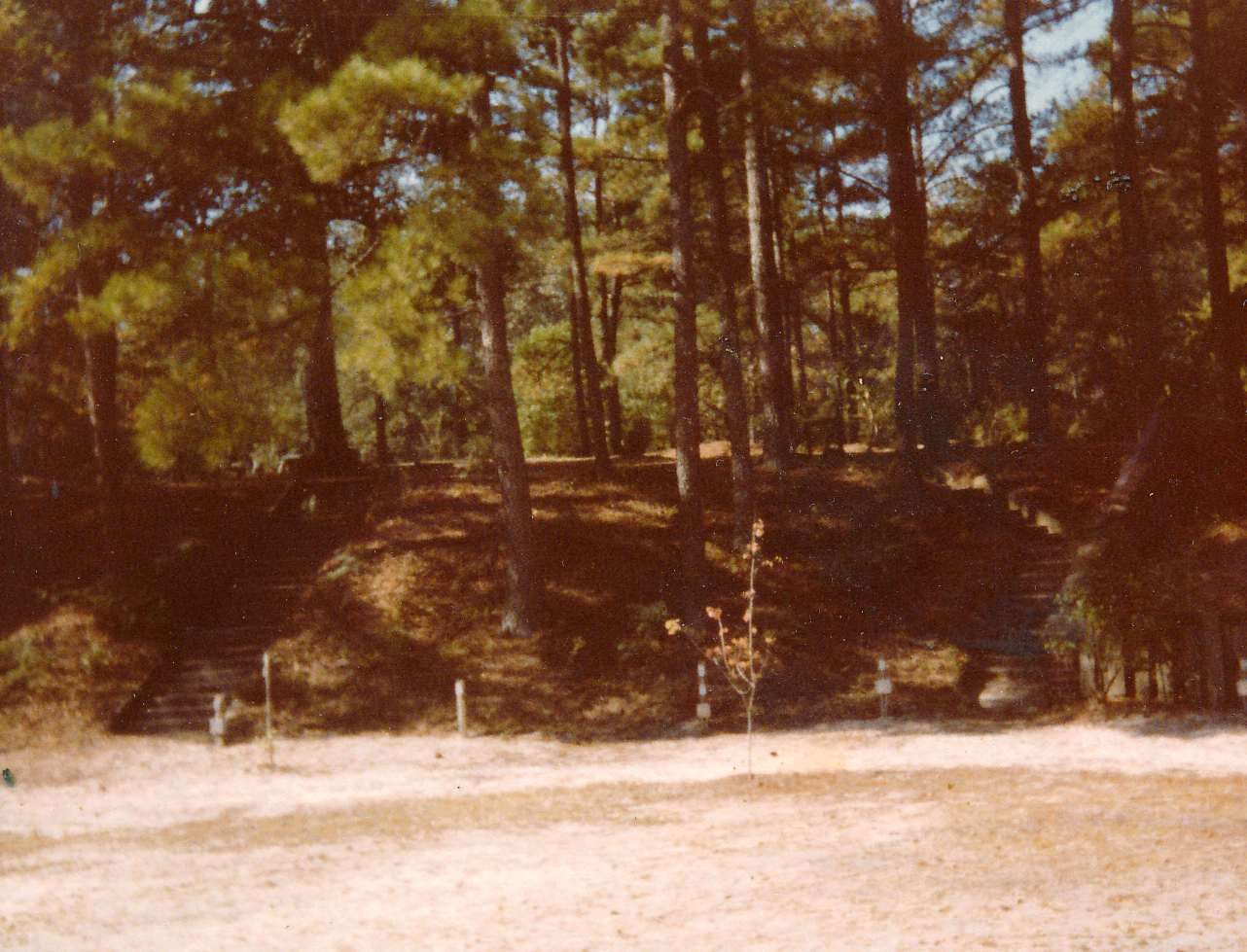 LAKESIDE PARK - OCTOBER 6, 1981 - JANE SCOTT THOMPSON AND SCOTT B. THOMPSON