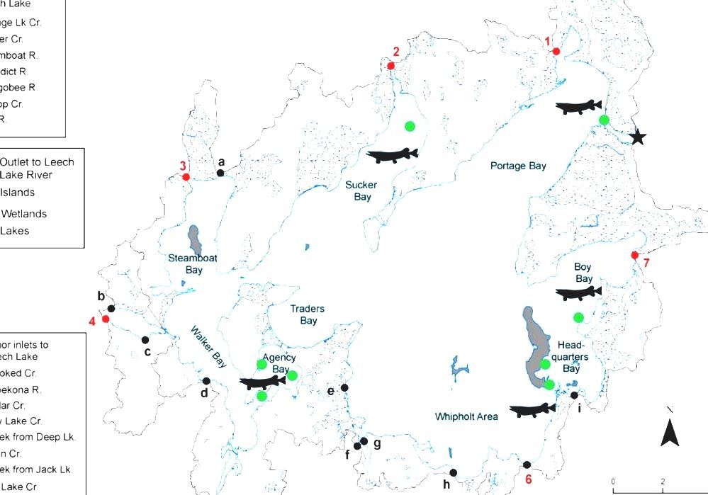 Leech Lake - Leech Lake Wild Rice