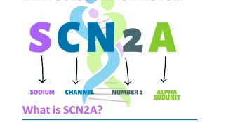 The Good, The Bad, The Ugly: Life with the SCN2A mutation