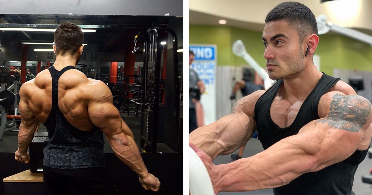 A Tricep Workout to Build Lean, Muscular Arms - SHREDDEDFIT