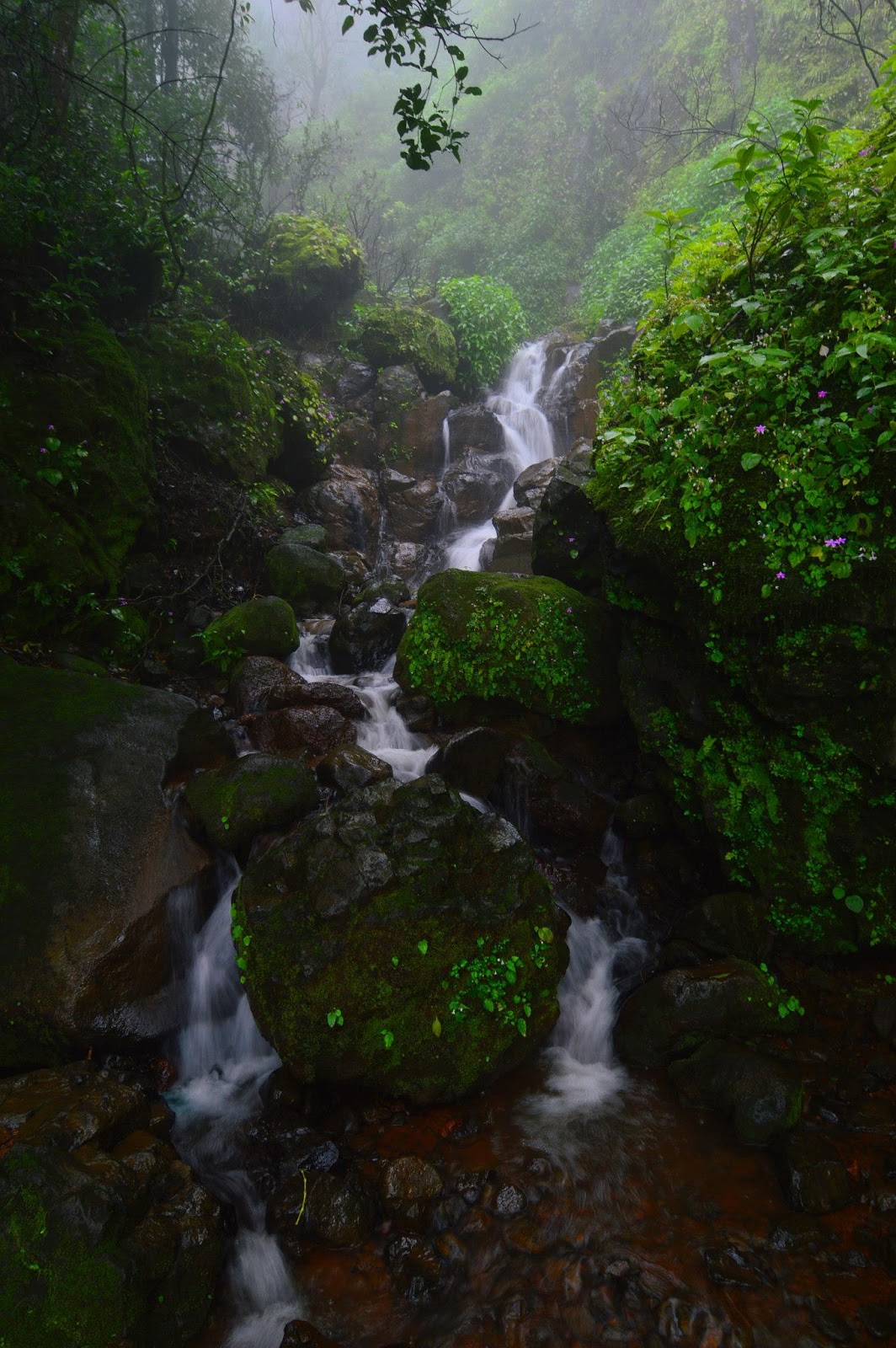 Kavlesad, Mahadevghad, Hiranyakeshi and Rajhunsgad Fort Trip