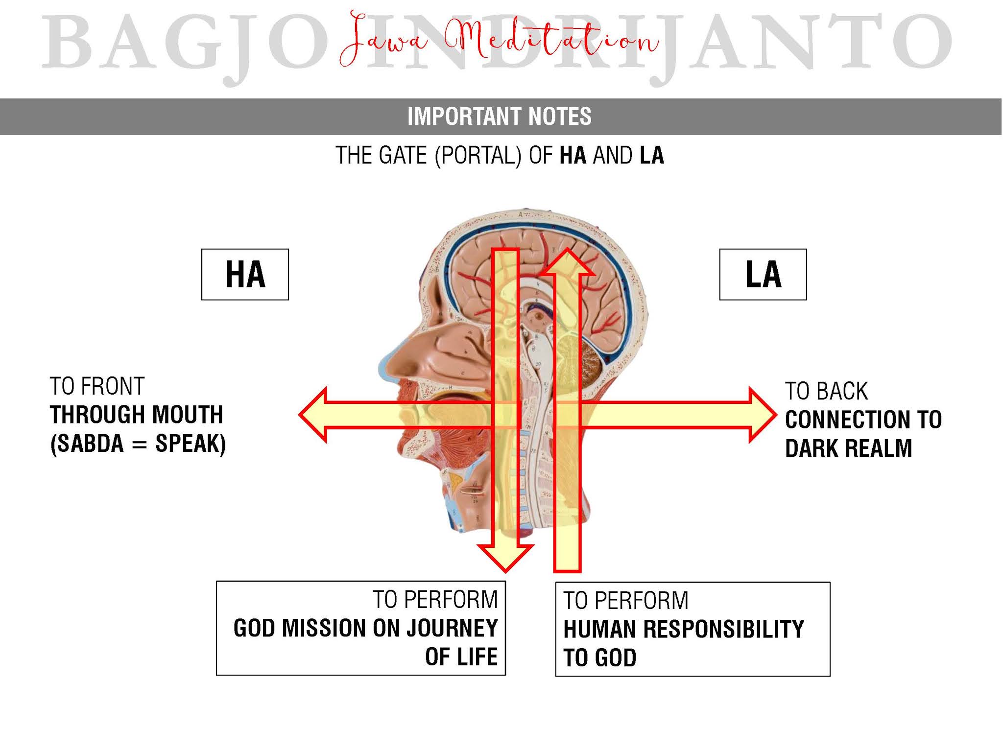 Hanacaraka - The language of Healing