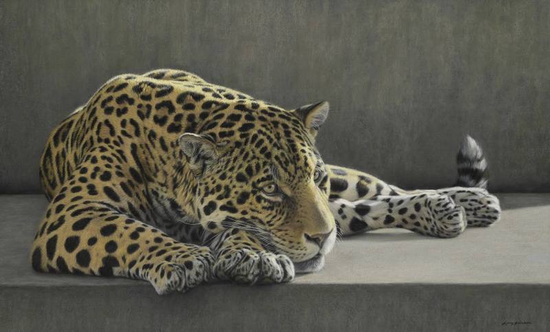 El Hurgador [Arte en la Red]: Gary Stinton [Pintura, Grandes felinos ...