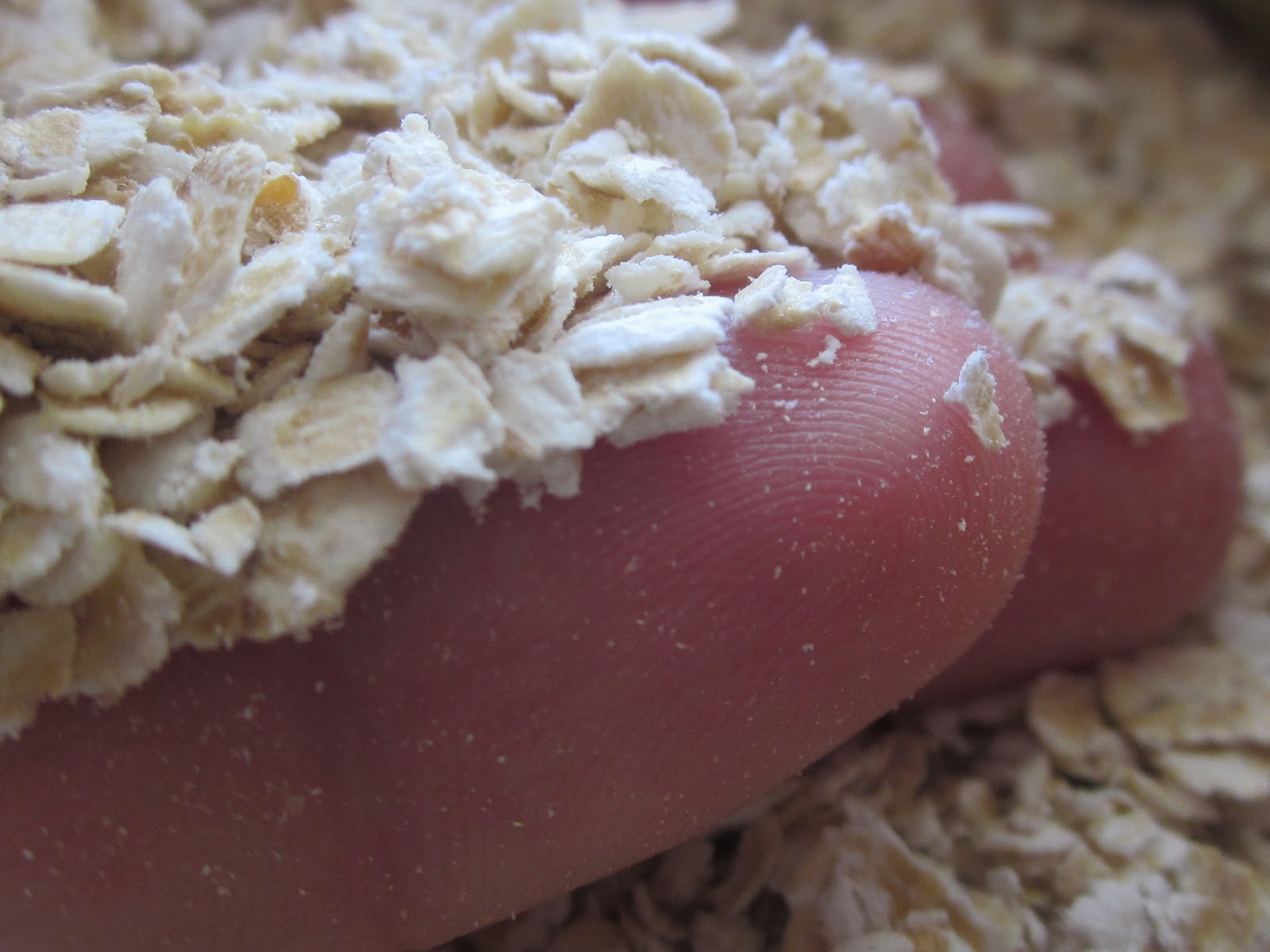 Chef Tess Bakeresse: Oat-standing! Some Oat 101