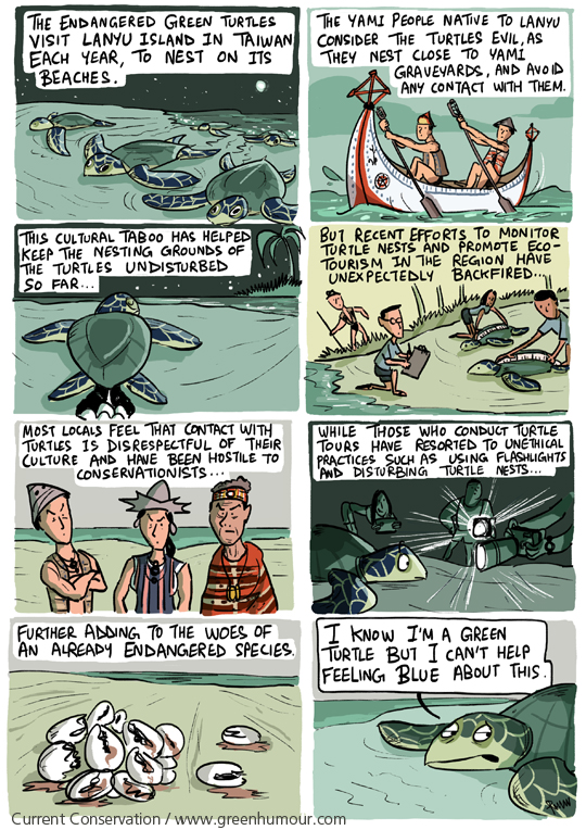 Green Humour: Research in Translation- Green Turtles at Lanyu Island