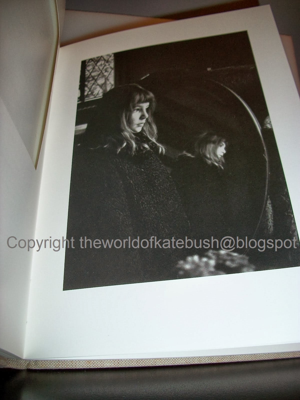 THE WORLD OF KATE BUSH: Cathy (Book)