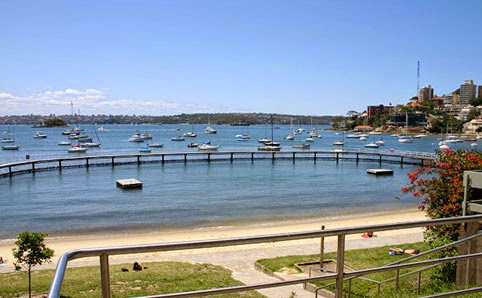 Race, Brunch, Repeat: Redleaf Swim