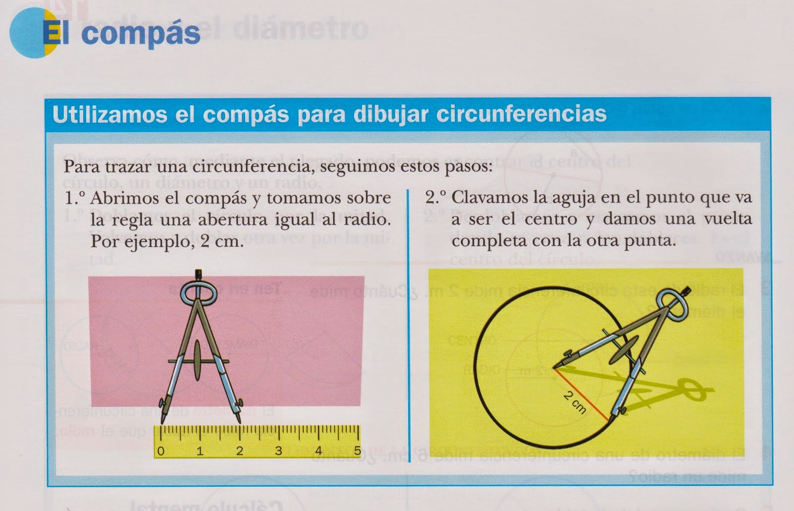 Mi cole Luis Cernuda, Campanillas.: "LA CIRCUNFERENCIA Y EL CÍRCULO"