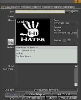 Second Life Etiquette Part Two: What Does Your Profile Say About You ...