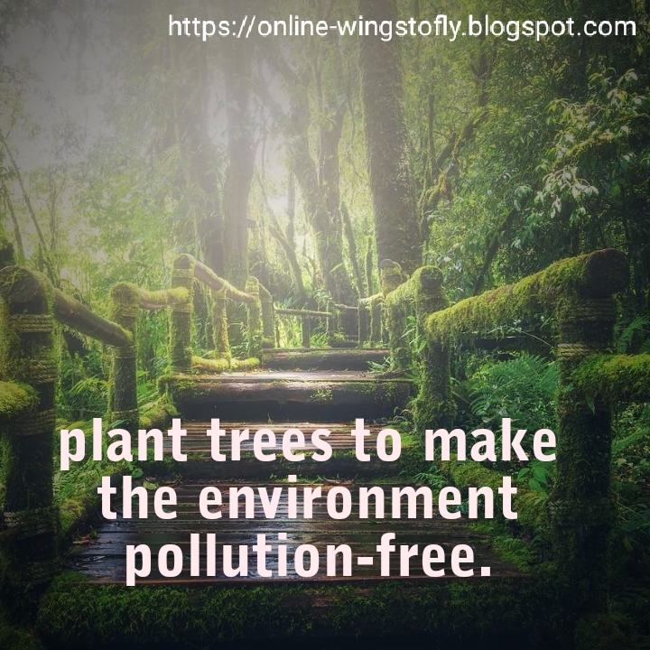 Happy Environment Day - slogans, quotes